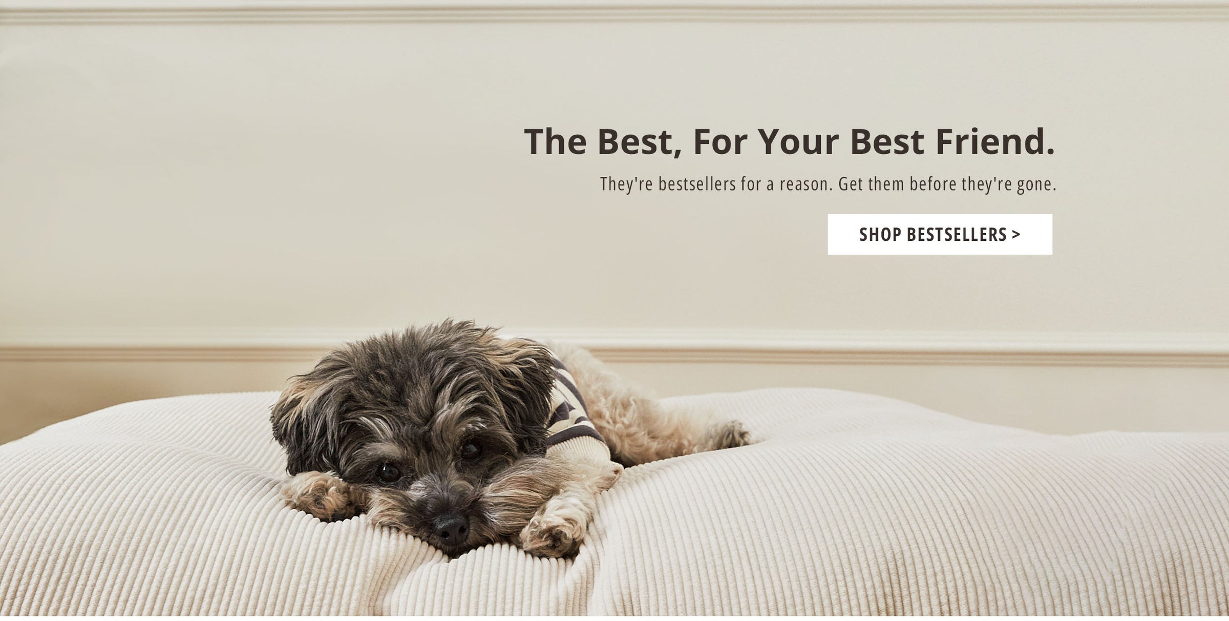 Dog Apparel, Pet Beds and Modern Pet Products | FURB
