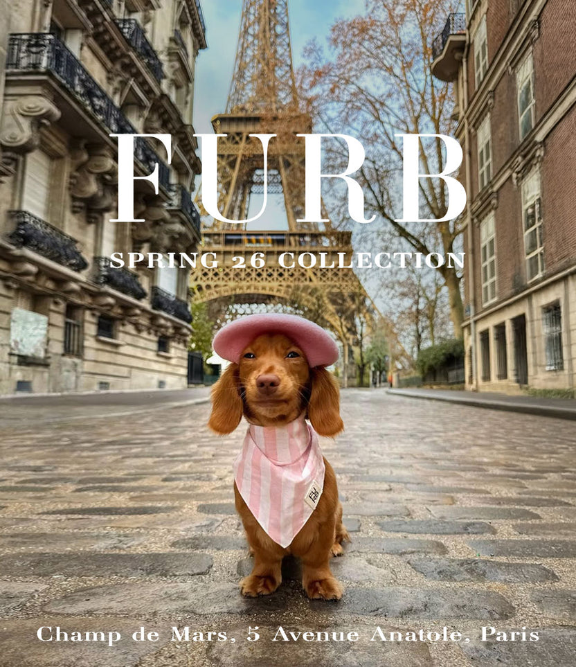 Dog Apparel, Pet Beds and Modern Pet Products | FURB
