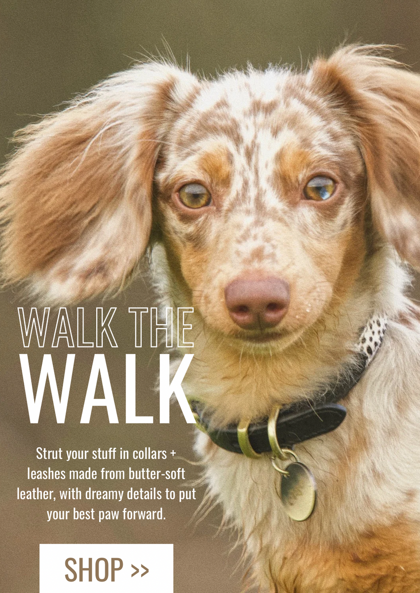 Dog Apparel, Pet Beds and Modern Pet Products | FURB